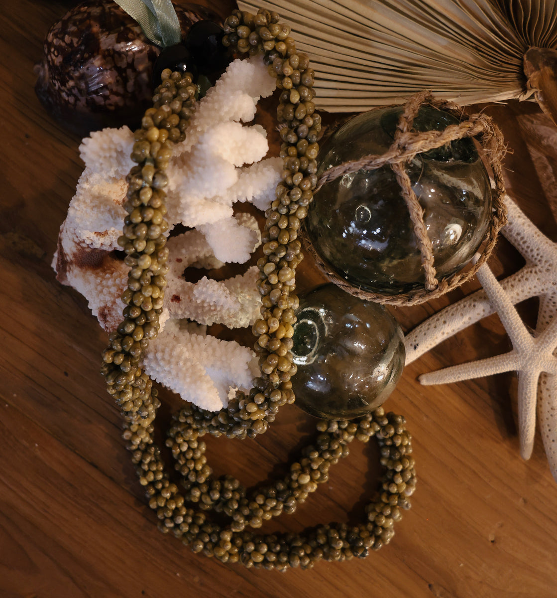 Mongo Shell Lei – Coco's Trading Post